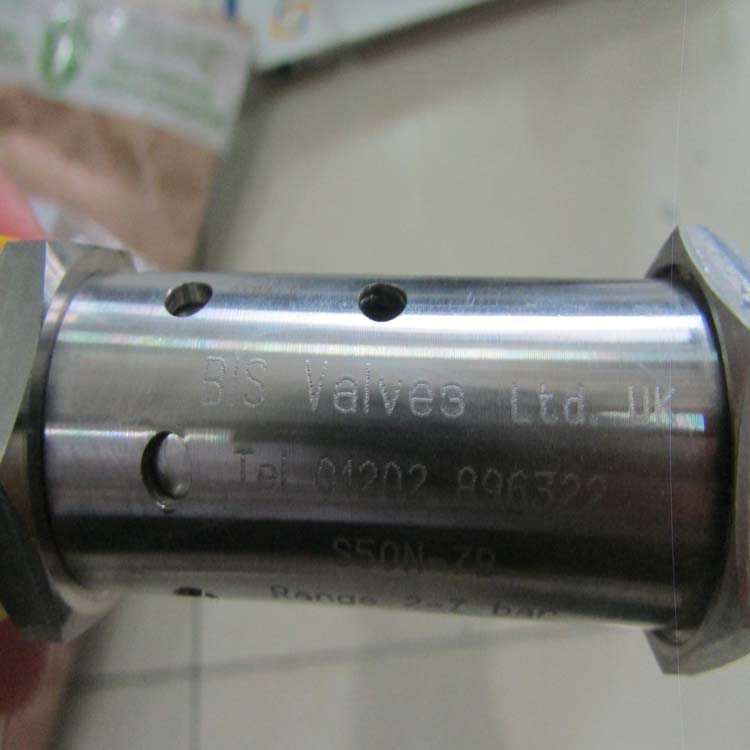 BiSValves安全阀BiSValves阀门BiSValves止回计量阀BiSValves